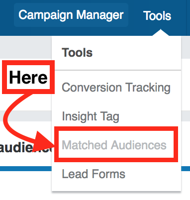 Your Ultimate Guide to LinkedIn Matched Audiences: Account Matching